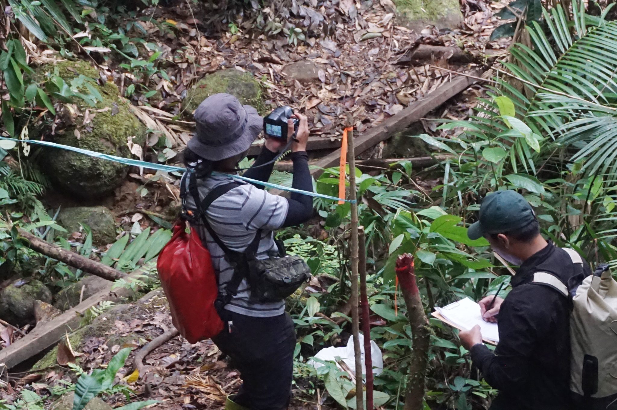 Home - Bahasa Indonesia - Gaia Indonesia