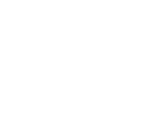 Our History - GAIA Indonesia